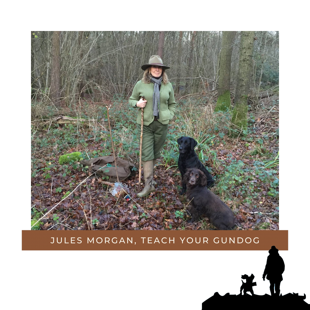 about-us – Gundog Trainers Academy